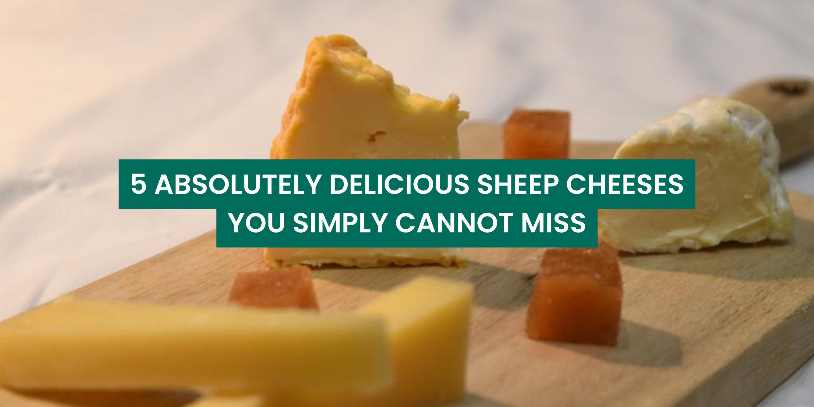 5 ABSOLUTELY DELICIOUS SHEEP CHEESES YOU SIMPLY CANNOT MISS