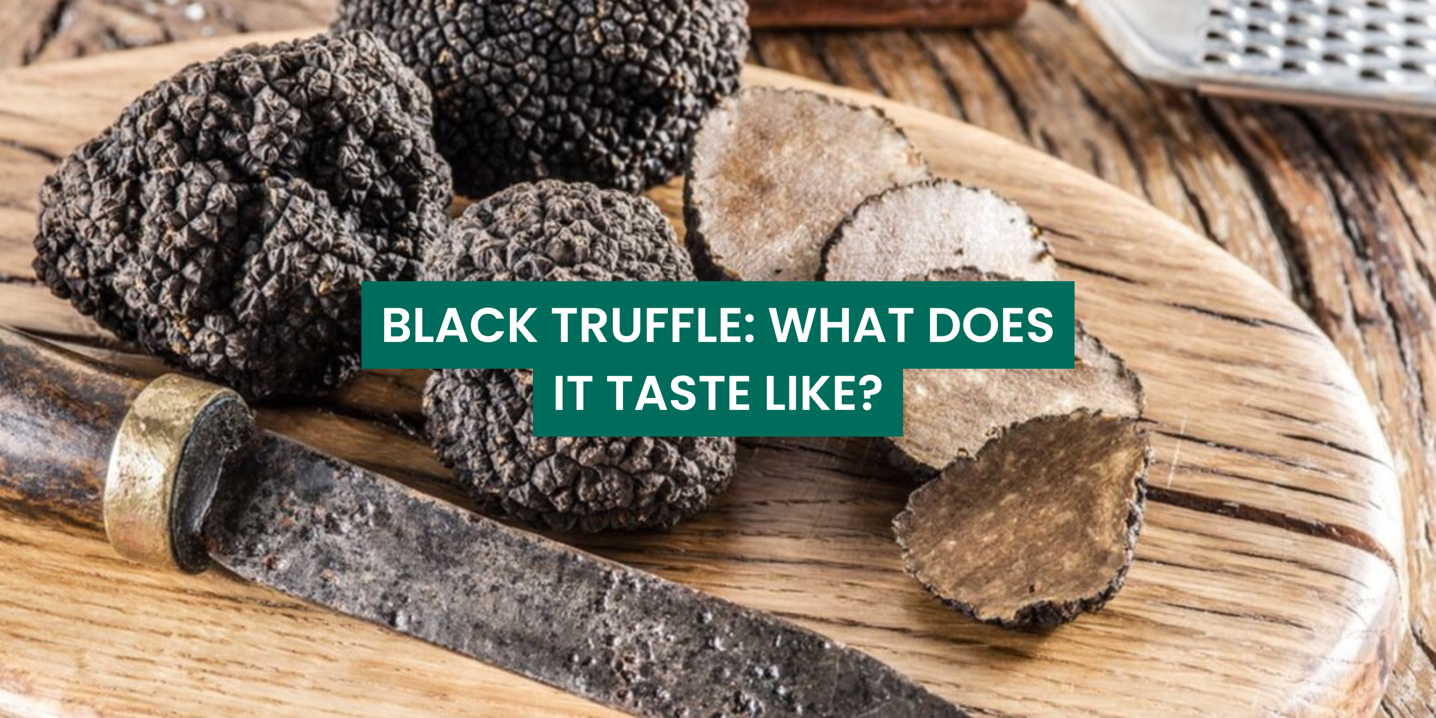 Black Truffle: What Does this Gourmet Ingredient Taste Like?